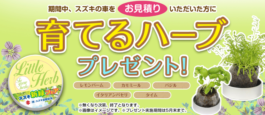 新緑フェアはじまります！！｜イベント/キャンペーン｜お店ブログ｜株式会社スズキ自販新潟 スズキアリーナ藤見 / U’s藤見